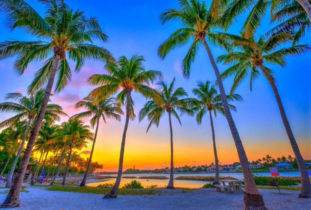 Top 15 Things to Do in Jupiter, FL | The Palm Beaches