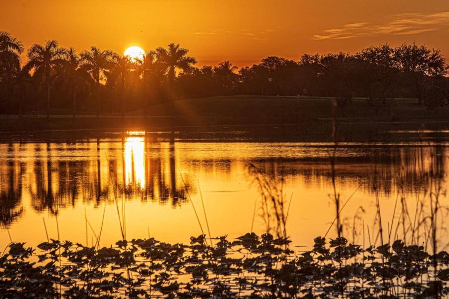 Discover Palm Beach Public Golf Courses: Play & Relax