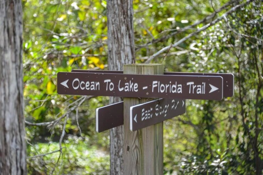 Scenic Bike Paths in The Palm Beaches Florida | The Palm Beaches