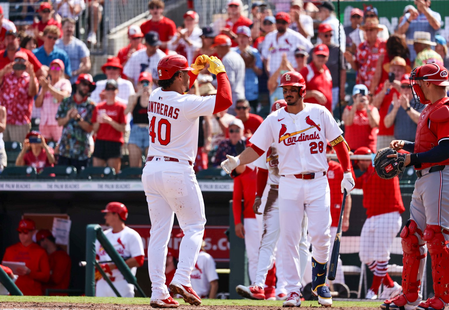 MLB Spring Training in The Palm Beaches: 2026 Info, Schedule