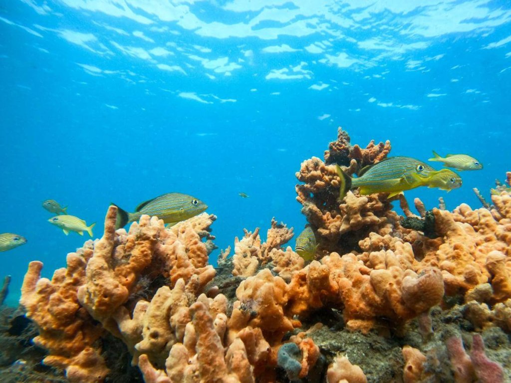 Top 10 Things to Do in Boynton Beach