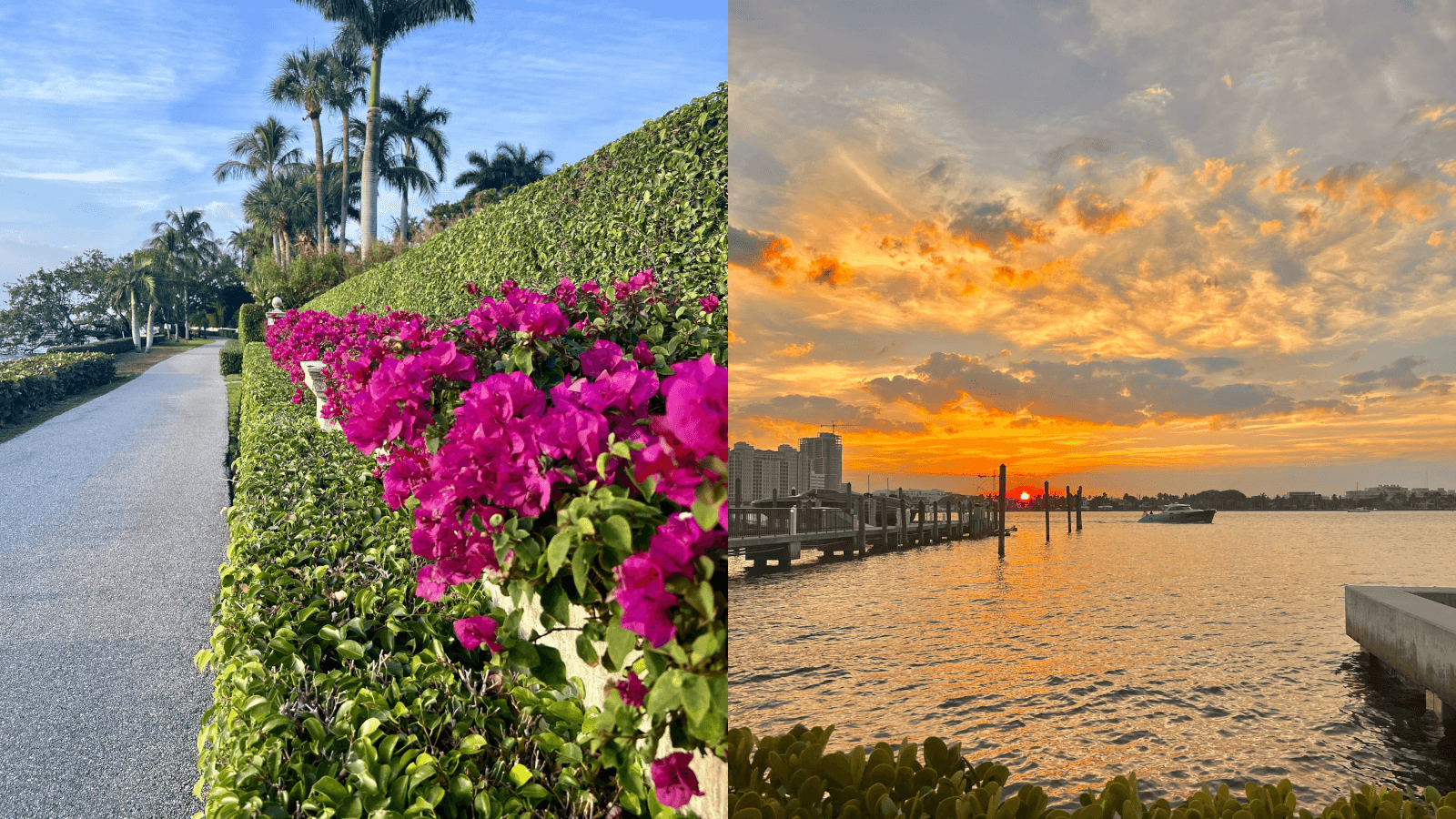 10 Cosas Para Hacer en Palm Beach | The Palm Beaches