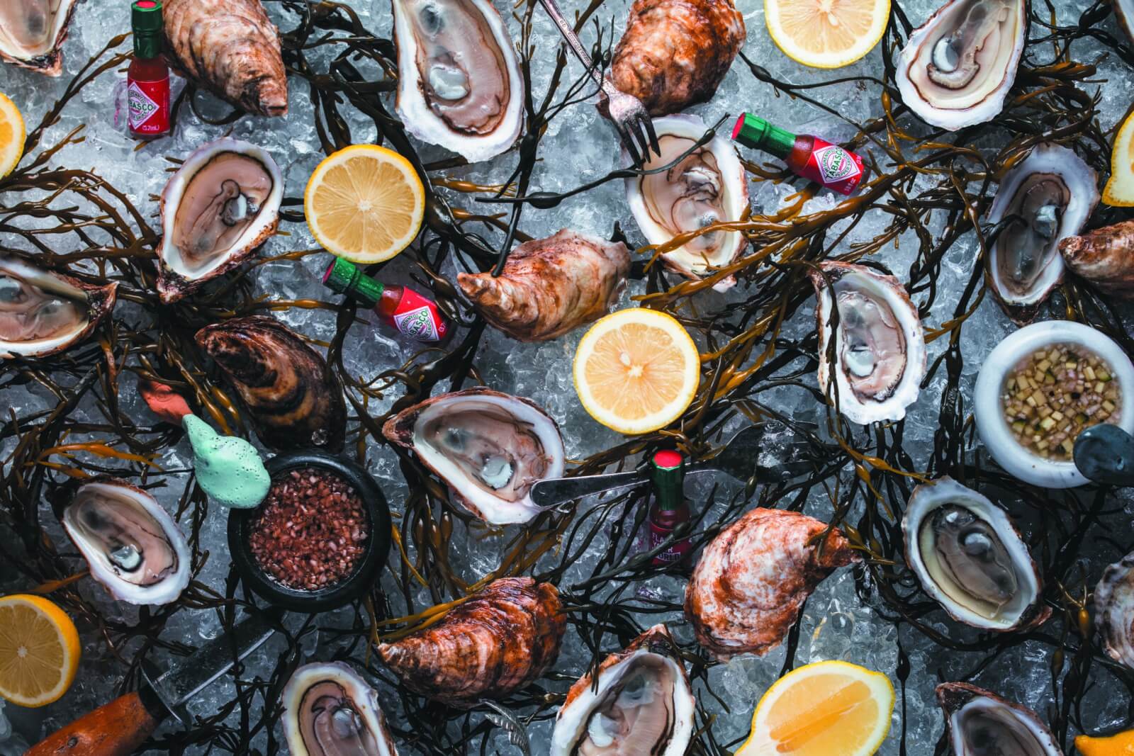 Best Restaurants for Waterfront Dining in South Florida