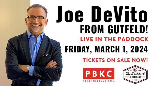 Comedian Joe DeVito from Gutfeld! Show - Live in the Paddock | The Palm ...