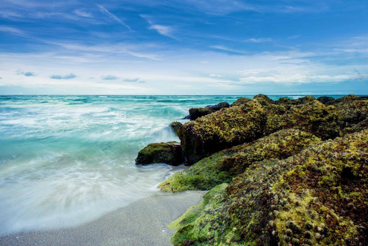 Top Snorkeling Sites in The Palm Beaches, FL