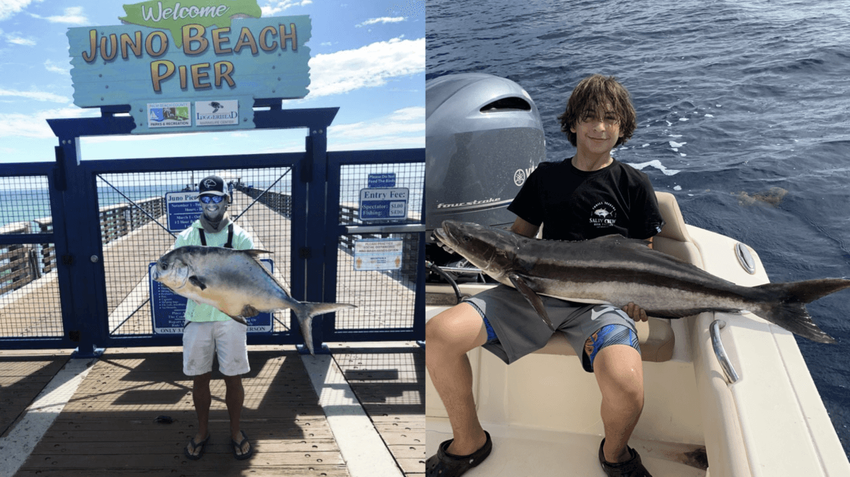 YOUR FISHING GUIDE FOR PALM BEACH COUNTY | The Palm Beaches