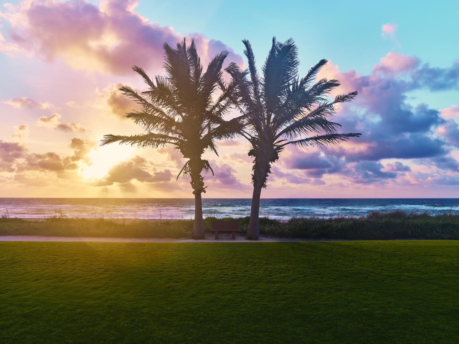 Itinerario De 5 Días En The Palm Beaches | The Palm Beaches