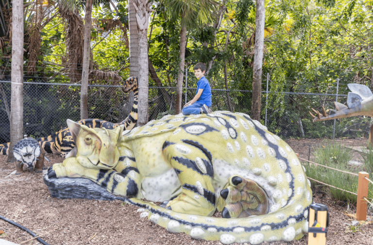 Sensory-Friendly Attractions: Cox Science Center and Aquarium