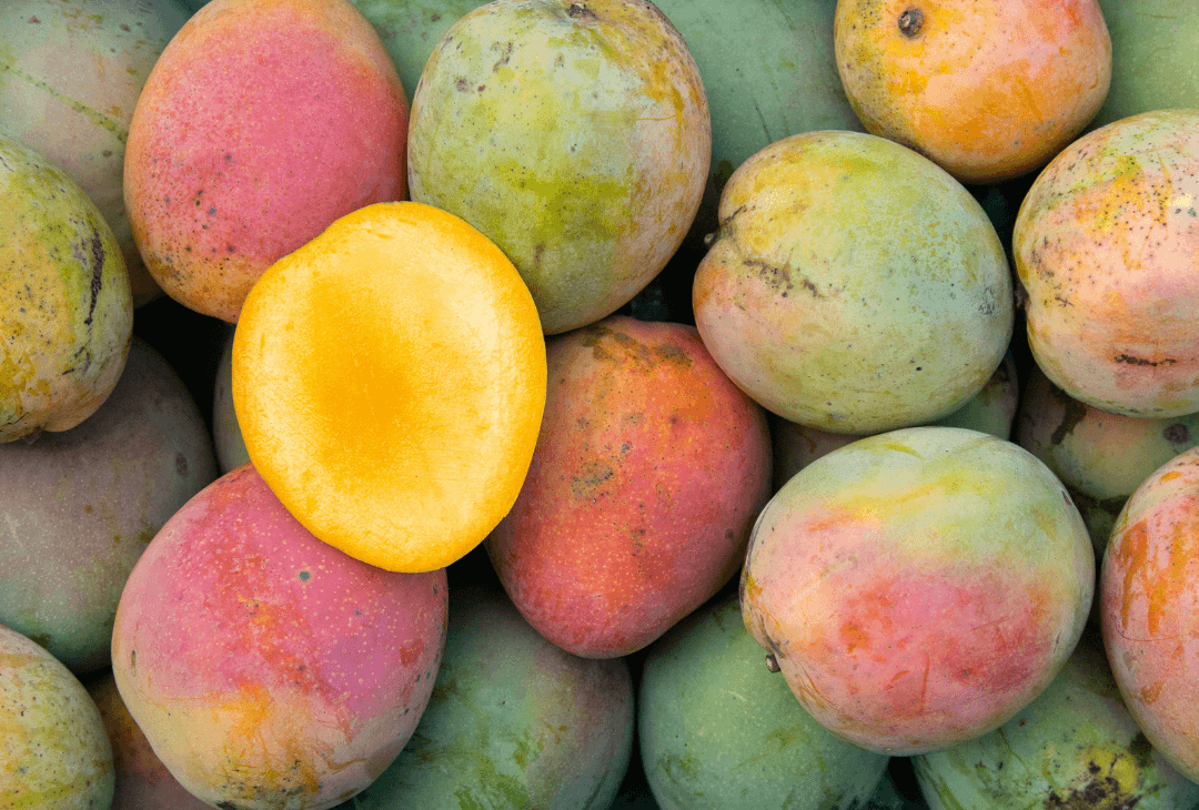 Events Roundup: What to Do This June in The Palm Beaches