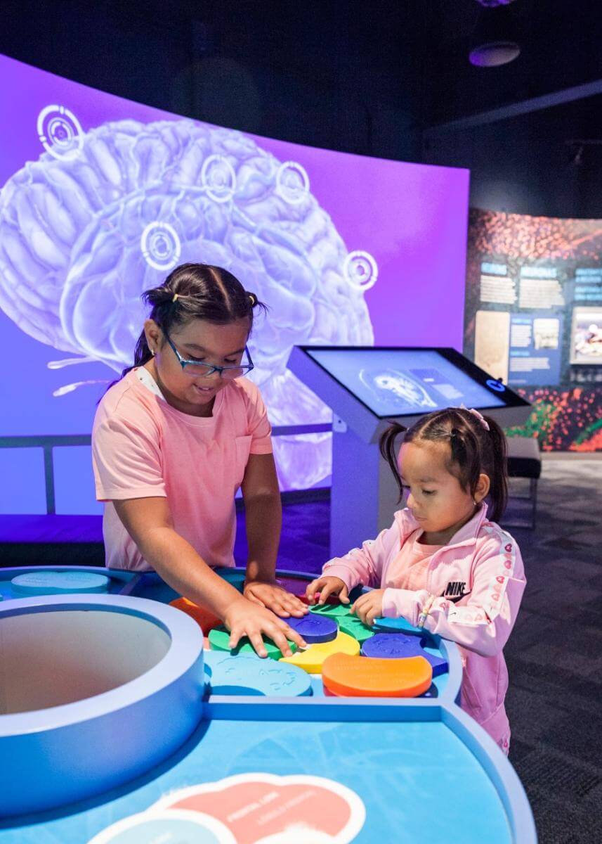 10 Enchanting Water Activities for Little Mermaids | The Palm Beaches